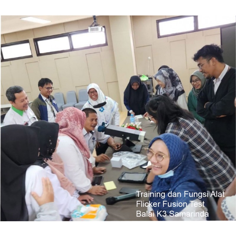 Flicker Fusion System